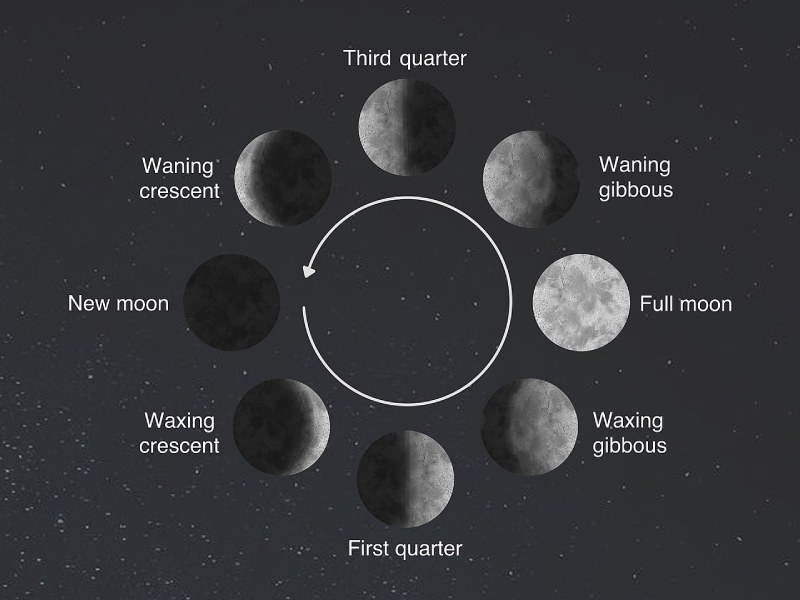 How Many Moon Phases Are There LunarSail
