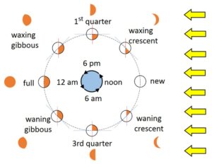 How Many Moon Phases Are There? - LunarSail.com